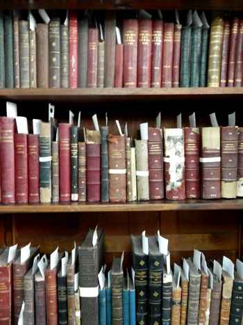 Dia do livro: saiba onde encontrar exemplares raros em acervos locais ...