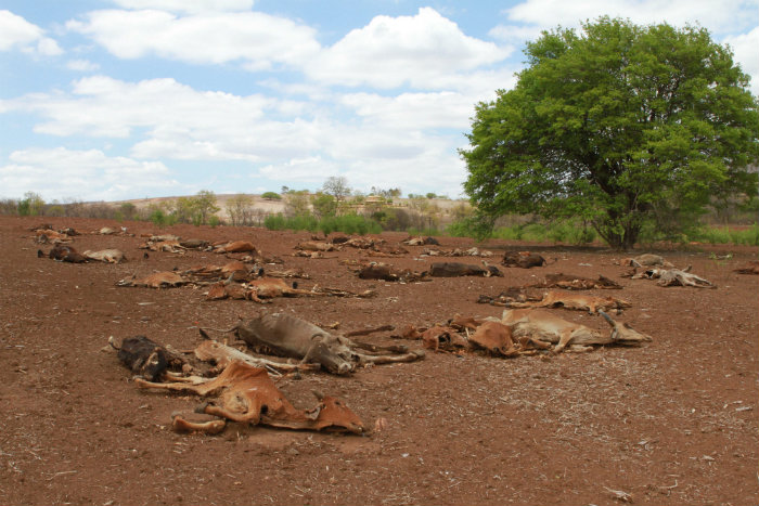 Nordeste já conta com monitoramento piloto para as secas | Brasil ...