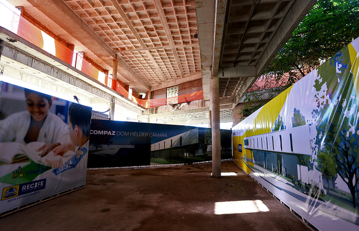 Coque vai ganhar Compaz Dom Hélder Câmara | Local: Diario de Pernambuco