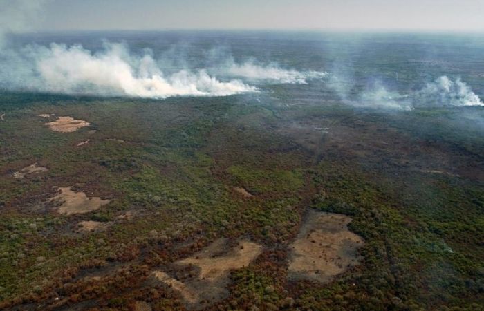 Recorde Histórico Pantanal Teve 14 Do Bioma Devastado Apenas Em