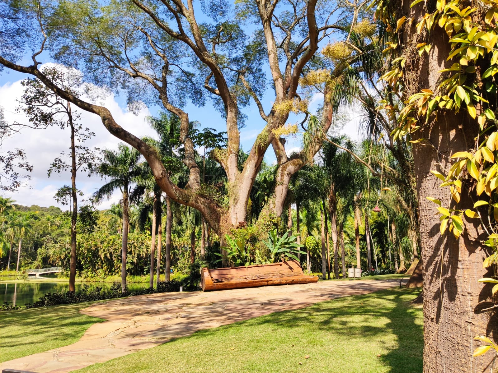 Inhotim: O maior museu a céu aberto do mundo | Brasil: Diario de Pernambuco