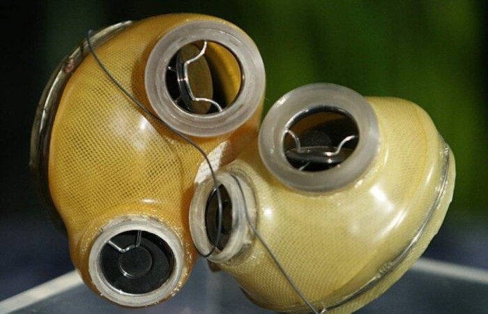 Há 40 anos acontecia o 1º transplante permanente de coração artificial ...