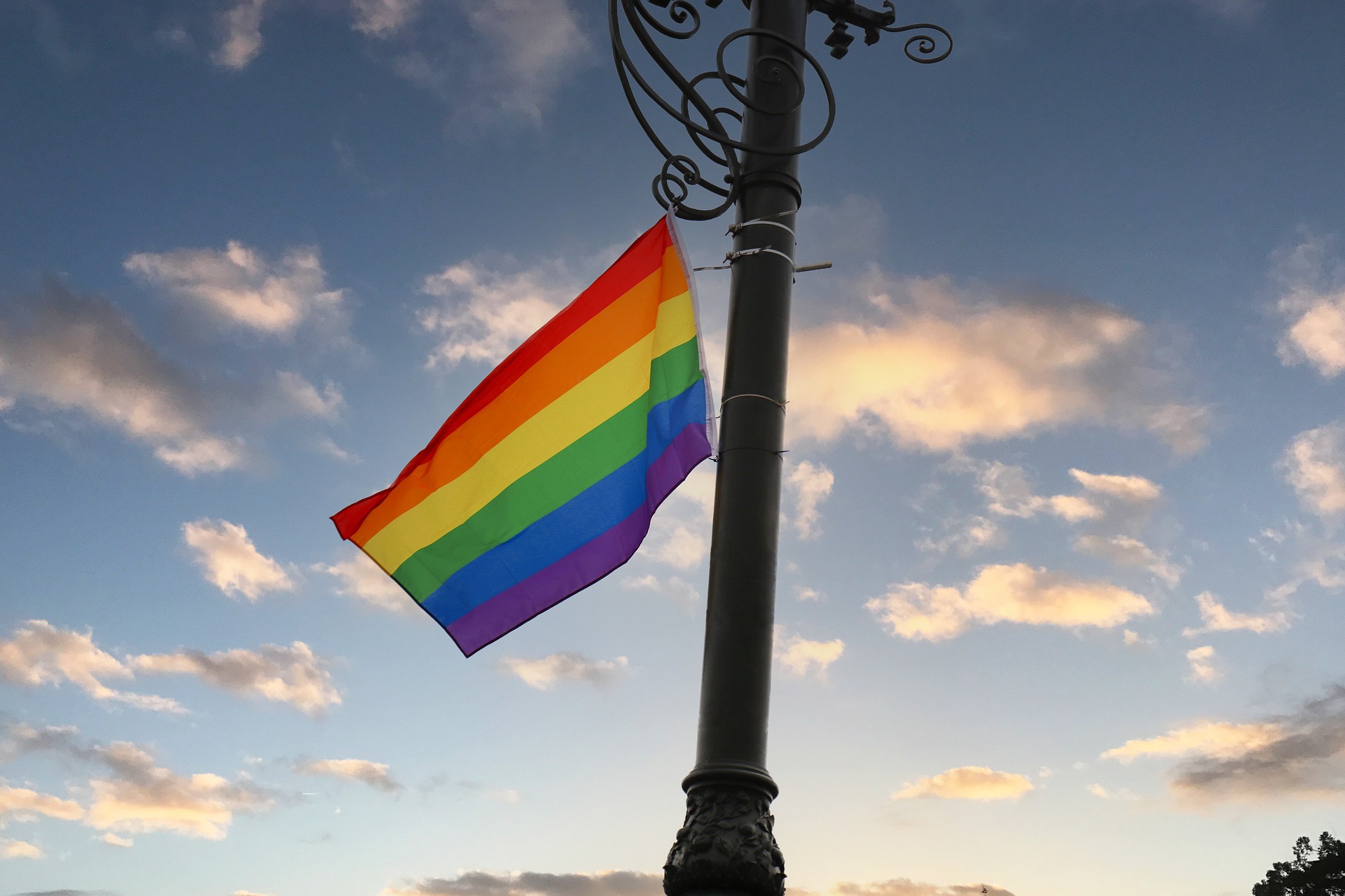 Campanha quer veto à lei que revoga medida anti-homofobia no Maranhão ...
