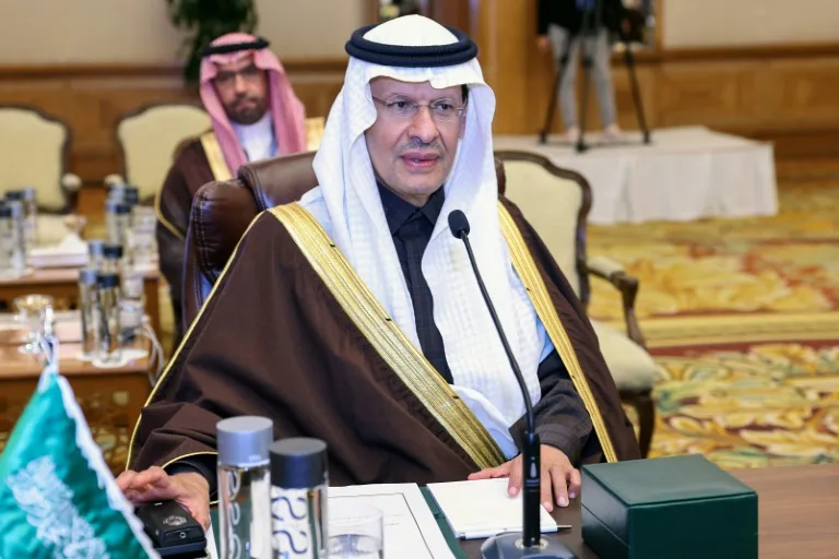 Arábia Saudita investirá US$ 266 bilhões em eletricidade 'mais limpa' | Mundo: Diario de Pernambuco