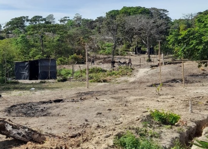 Meio ambiente de Paulista realiza fiscalizações no Parque do Janga ...