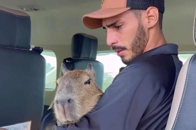 Depois de entregar capivara, influencer consegue guarda provisória do ...
