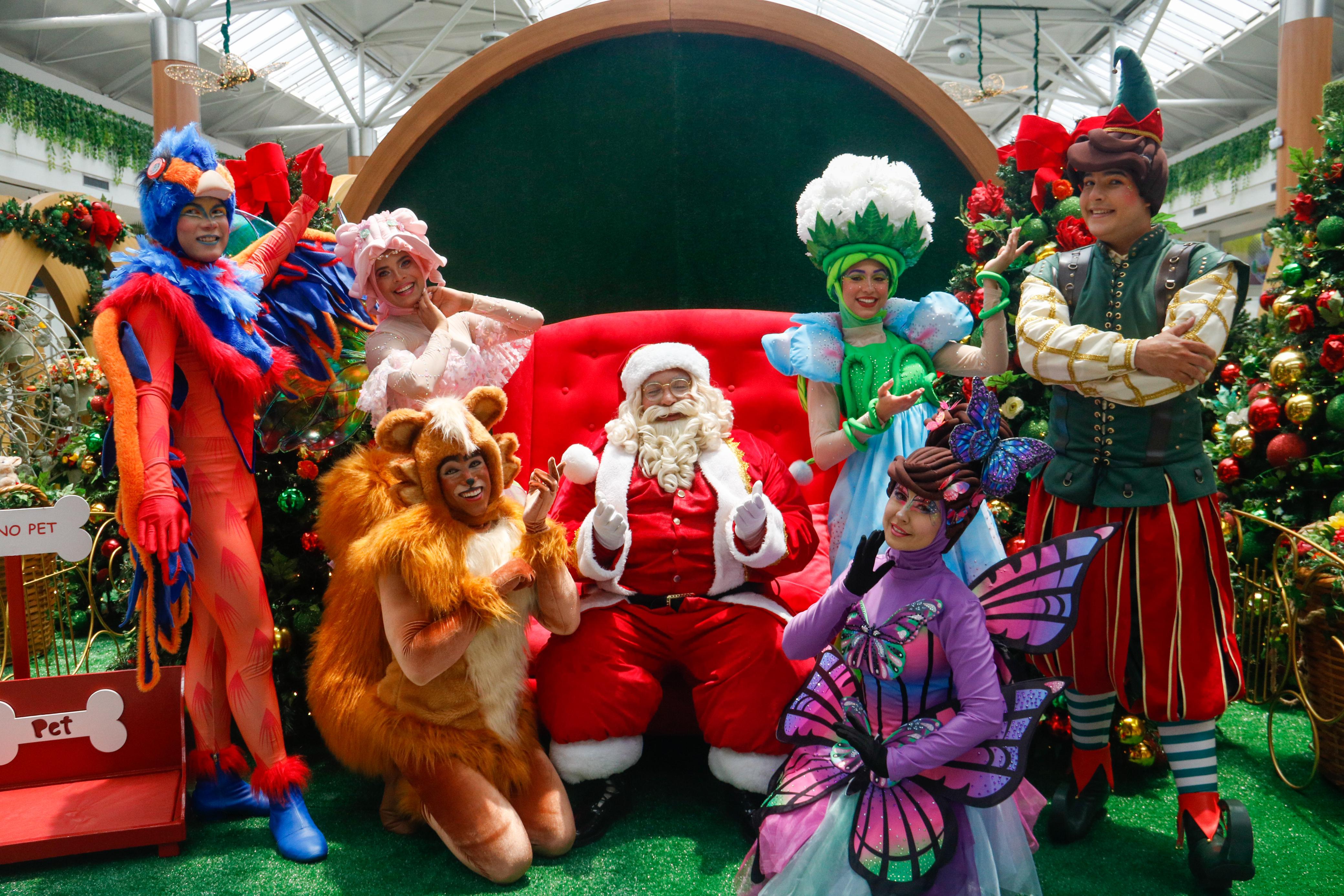 Roteiro do Noel: confira onde vivenciar a magia do Natal | Local ...